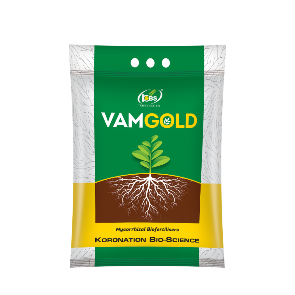 Vam Gold Granules – koronationbioscience.com